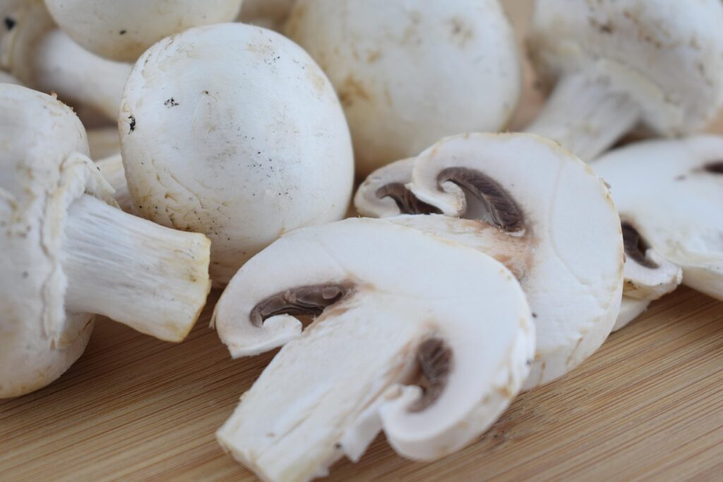 La culture de champignons de paris